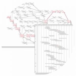 Project Management - Tritec Developments